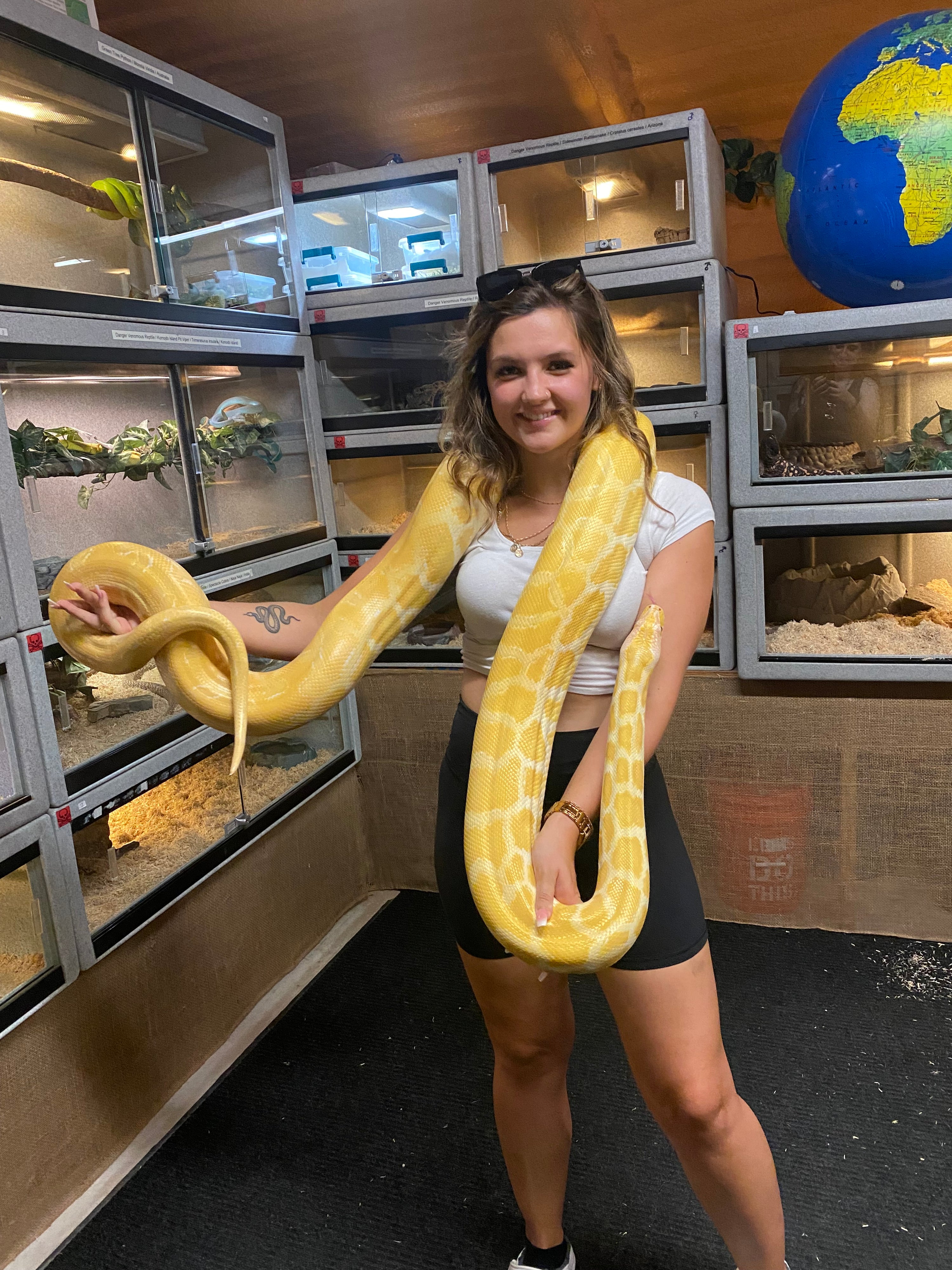 All About Burmese Pythons: Nature’s Big Squeezer – Amanda's Exotic Animals