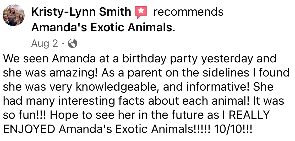 Events & Booking – Amanda's Exotic Animals