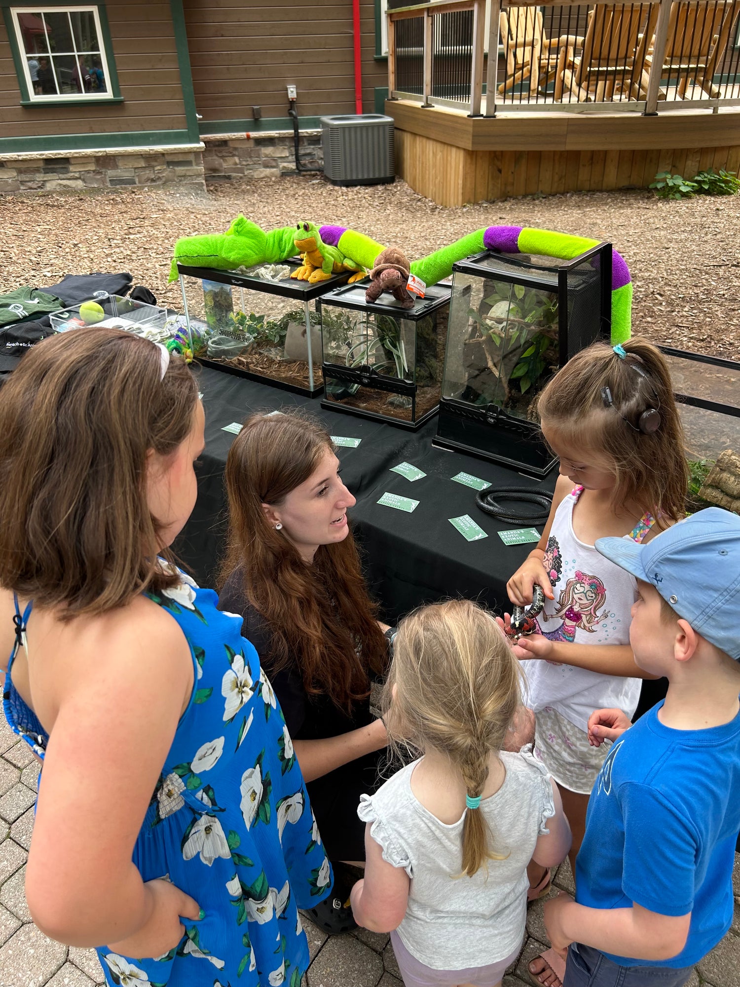 Events & Booking – Amanda's Exotic Animals