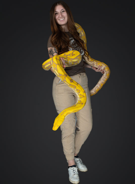 Film & Photography – Amanda's Exotic Animals